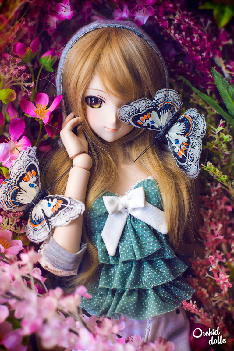 5 backgrounds ideas for Doll Photography - Orchid Dolls