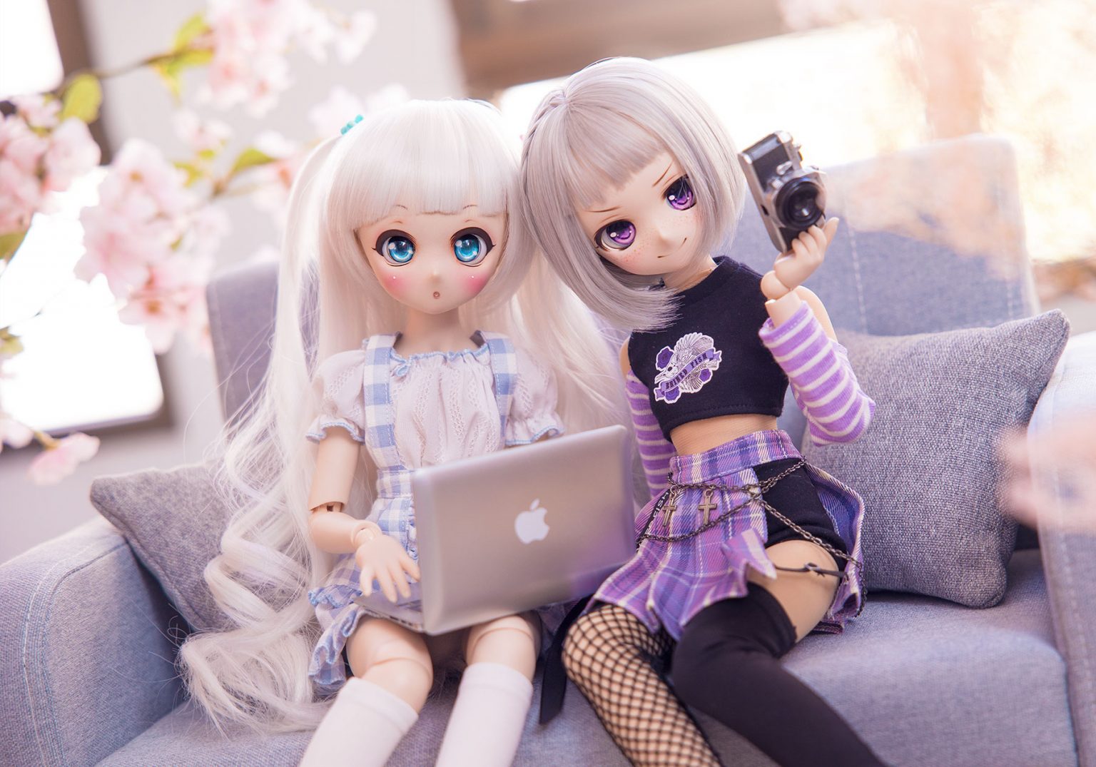 Orchid Dolls - Blog about Dollfie Dream, Photography and Doll Collecting